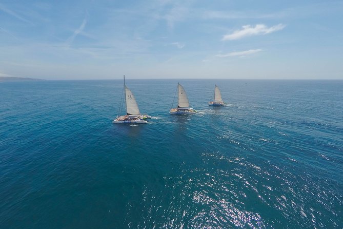 Barcelona Catamaran Party Tour For Young People - What You Can Expect from This Barcelona Catamaran Tour