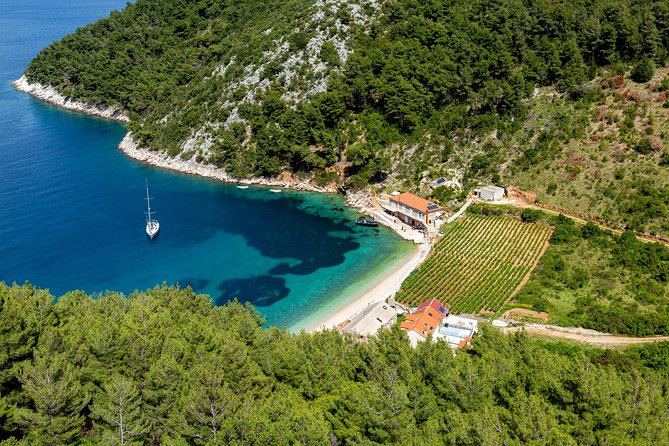 Brac, Hvar, & Solta Day Trip: Snorkeling, Wine & Lunch from Split - An In-Depth Look at the Experience