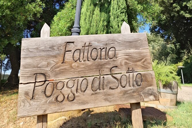 Brunello di Montalcino 2 Top Wineries full day Limousine Service - What’s Included and What’s Not