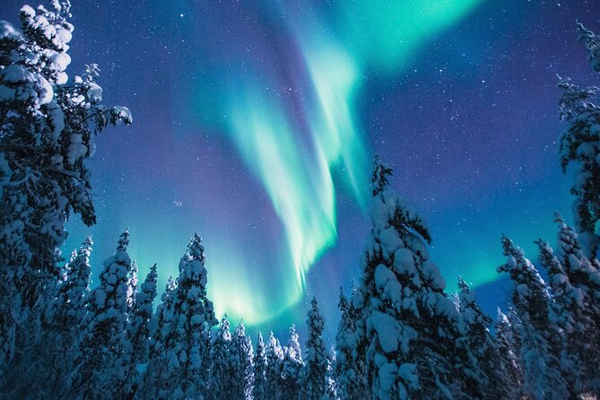 Bus Tour with Hunting Northern Lights - FAQ