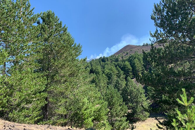 Catania: Etna & Food Jeep/Van Tour - Key Points