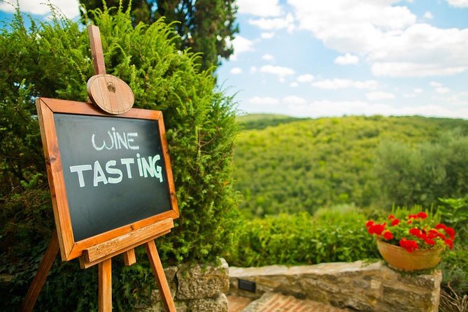 Chianti and Castle Small Group Tour from San Gimignano - In-Depth Look at the Itinerary