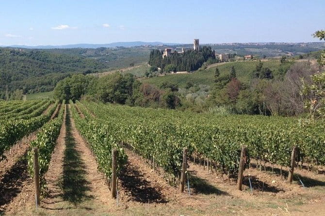 Chianti Wine Tour - Private Wine experience in Tuscany Countryside - Key Points