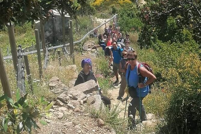 Cinque Terre by train and boat - Key Points