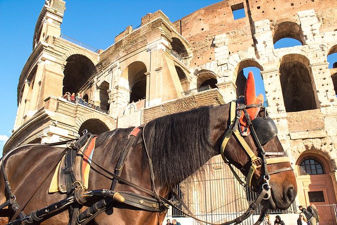 Colosseum Arena floor & Ancient Rome Tour for kids and Families - Detailed Breakdown of the Itinerary