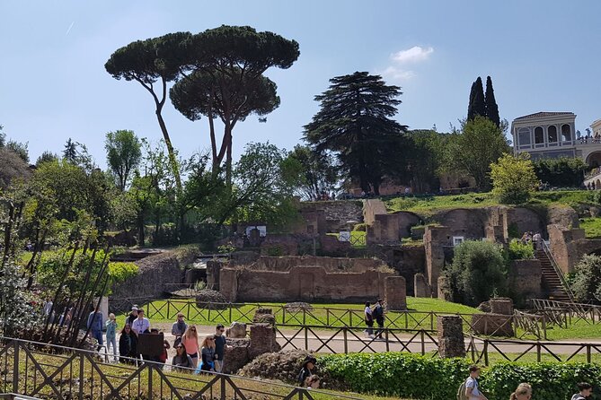 Colosseum Arena Floor Roman Forum and Palatine Hill Live Guide - Who Should Book This Tour?