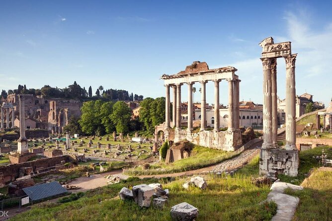 Colosseum Guided Tour with Special Access to the Gladiator Arena - What to Expect at Each Site