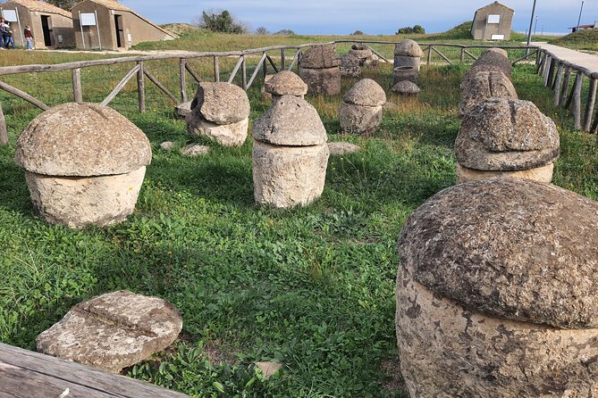 Day tour from Rome to the Etruscan necropolis of Tarquinia and Cerveteri - Necropoli della Banditaccia in Cerveteri