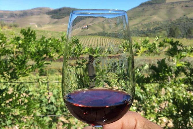 Day Trip Through the Enchanting Douro Valley #DuckSideOfPorto - Who Should Consider This Tour?