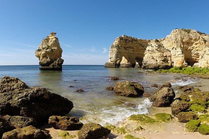Discover The Algarve Region and The Local Gastronomy - Final Thoughts: Who Will Love This Tour?