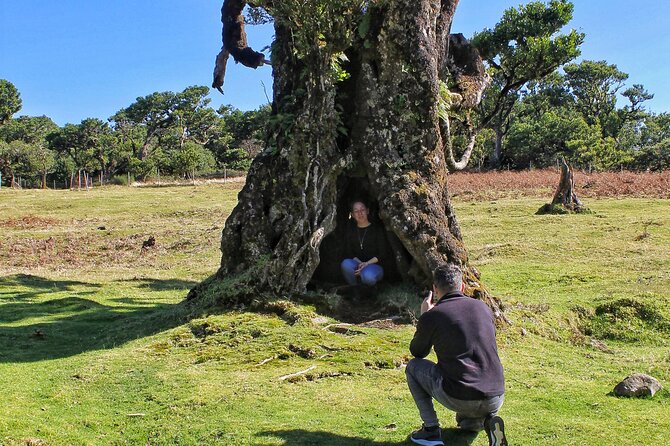 Discovering Northwest Madiera Shore Excursion w/ Harbour pickup - Why Travelers Love This Experience