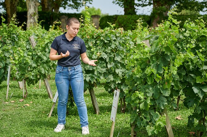 Discovery Tour of Château Haut Breton Larigaudière - Why Youll Love This Tour