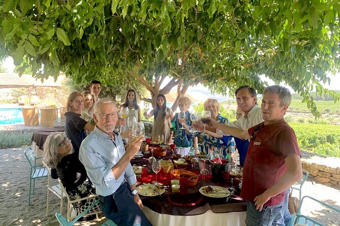 Douro Premium - Final Thoughts: Who Should Book This Tour?