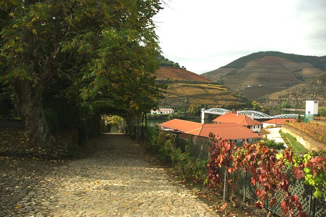 Douro Valley: From Casal de Loivos to Pinhão Walk and Wine Tour - The Overall Experience: What Travelers Can Expect