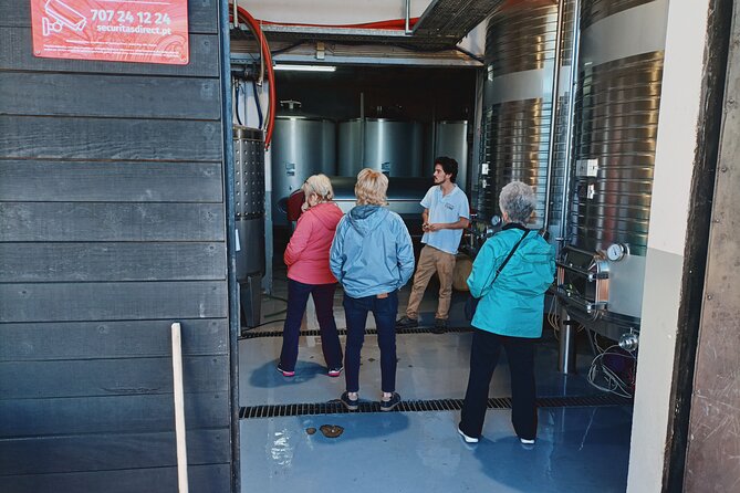 Douro Valley Private Tour with Sommelier - Authentic Experiences and Personal Touches