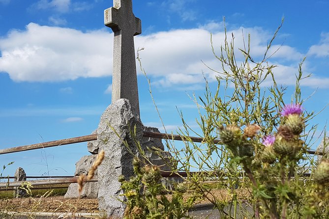 Edinburgh: Holy Island, Alnwick Castle & Kingdom of Northumbria - What to Expect on the Tour