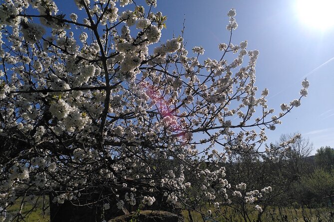 Educational visit of a Certified Organic Micro Farm in Trancoso - Practical Details & Logistics