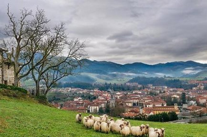 Elorrio, Oñati and Arantzazu Sanctuary - The Value and Practicality of the Tour