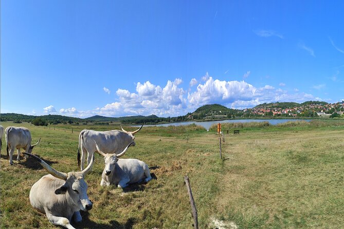 Essence of Hungarian Rural Beauty: 5 Hour Balaton Private Tour - Analyzing the Itinerary: What to Expect