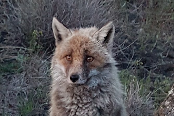Etna and surroundings - Why Choose This Etna Tour?