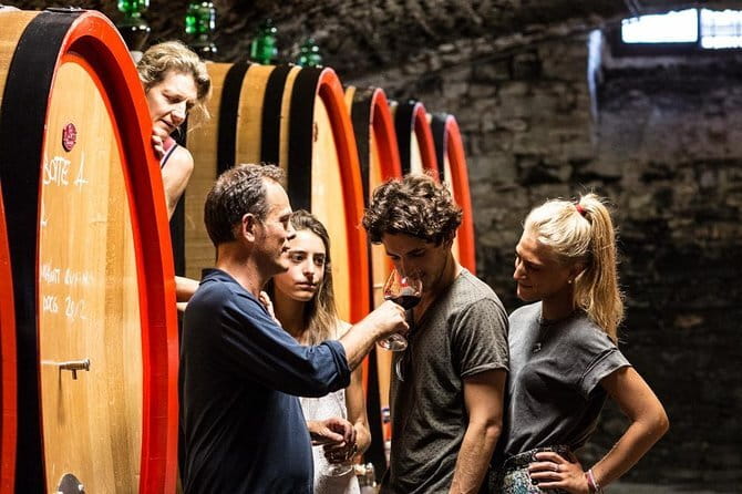 EXCLUSIVE - Wine Tasting near Florence with Castle and Ancient Cellars Tour - Key Points