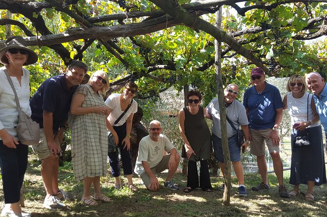 Family or friends Transportation Service for the Experiences - Navigating the Experience: Detailed Breakdown