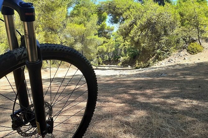 From Athens: Aegina Island E-bike & walking day tour - What’s Included and What’s Not