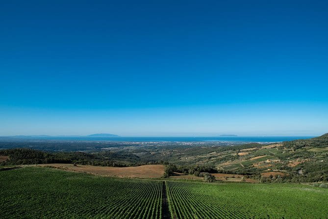 From Florence PRIVATE:Bolgheri Wine Tour,tasting among the Tuscany coastal hills - Exploring the Itinerary: What to Expect