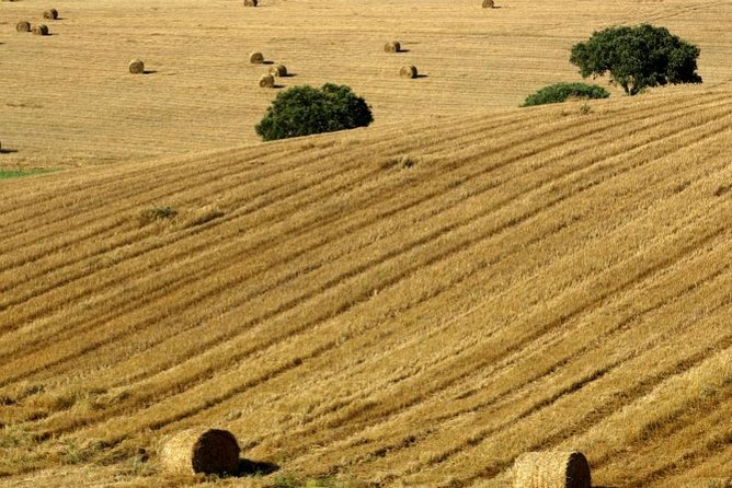 From Lisbon to Alentejo: Évora and Megaliths Full-Day Group Tour - The Itinerary in Detail