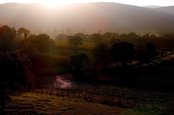 From Rome: Hidden Tuscany Day Trip with Lunch and Wine Tastings - An Introduction to the Experience