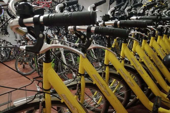 Fully equipped city bike to discover Florence - 1 day rental - Key Points