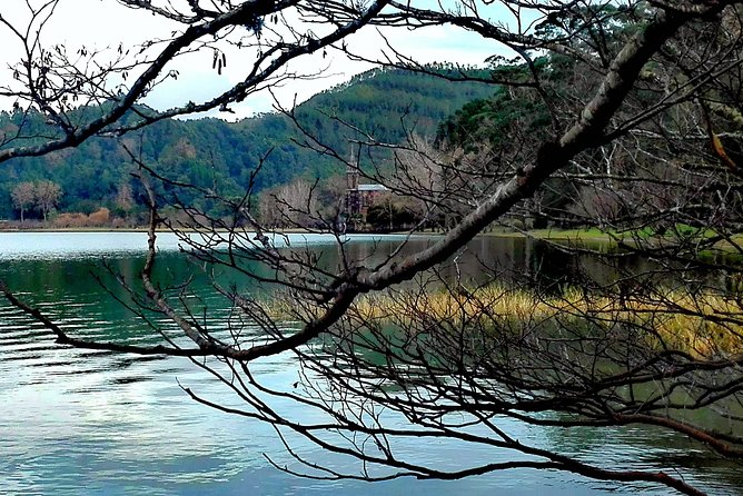 Furnas Lake Hotsprings and Gardens Van Tour - Final Thoughts