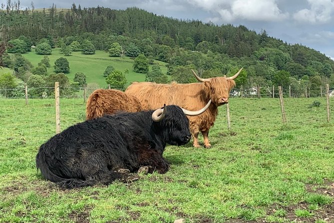 Glencoe, Central Highlands, Rob Roy, Whisky, Private Tour - Key Points