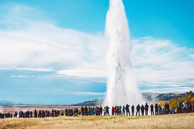 Golden Circle & Friðheimar Experience: Private Farm & Wonder Tour - Exploring Iceland’s Top Highlights