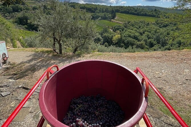 Grape Stomping and Wine Tasting in Tuscany - What Reviewers Say