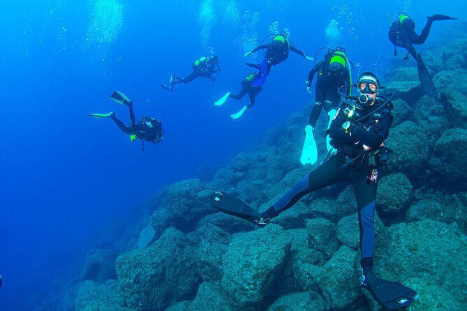 Guided Immersion from Santa Cruz de Tenerife - Why This Tour Is Worth Considering