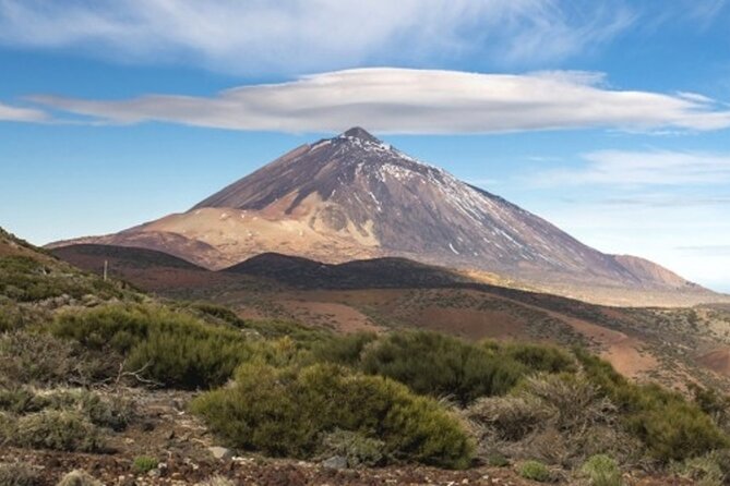 Guided Tour to Teide National Park in Tenerife - An In-Depth Look at the Tour Experience