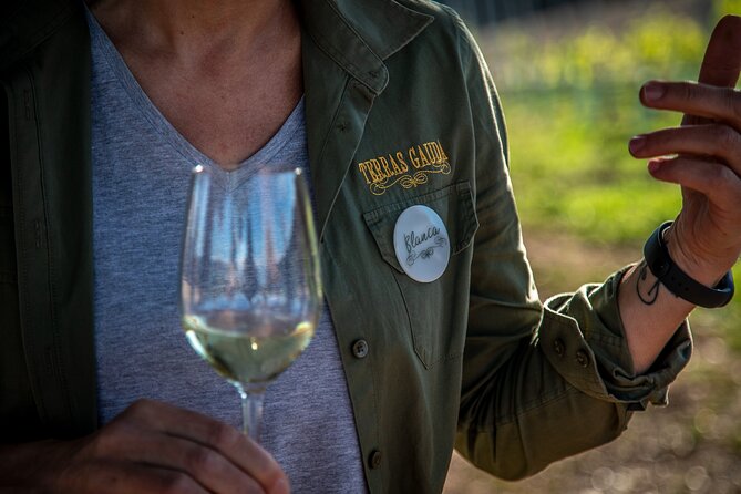 Guided Winery tour and Wine tasting in Pontevedra - An Authentic Taste of Galicias Winemaking