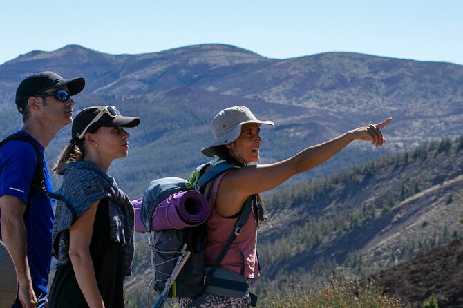 Half-Day Volcanic Experience in Teide, Tenerife - Discovering Tenerife’s Geology and Landscape
