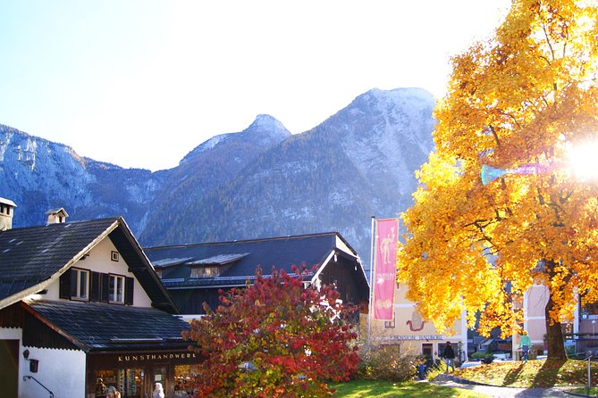 Hallstatt Day Trip from Vienna With Skywalk Lift Option - The Experience: What Travelers Say