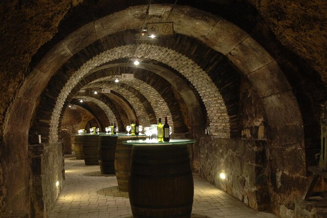 Haro, Laguardia and two Rioja wineries from Bilbao - Key Points