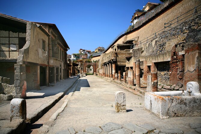 Herculaneum, Vesuvius and Pompeii Full Day Tour from Naples - A Closer Look at the Itinerary
