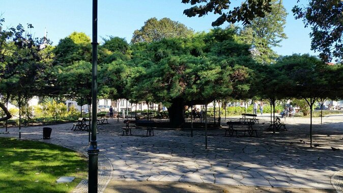 High-End Exclusive Food and Wine Tour Lisbon with a Winemaker - Exploring the Itinerary: What You Can Expect