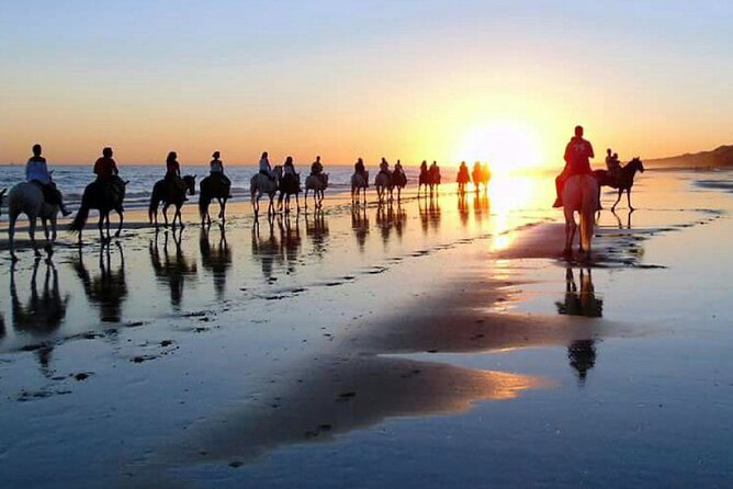Horseback riding through Doñana and visit of El Rocio - Private tour - Why This Tour Suits the Curious Traveler