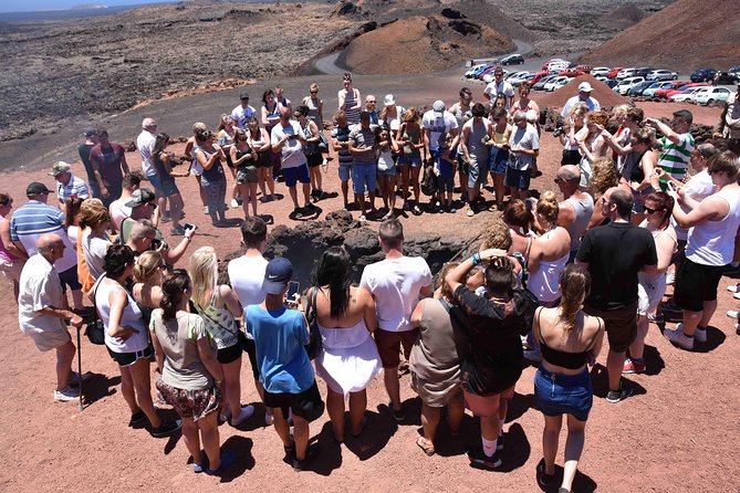 Lanzarote South Tour with Timanfaya Entrance - Who Should Take This Tour?