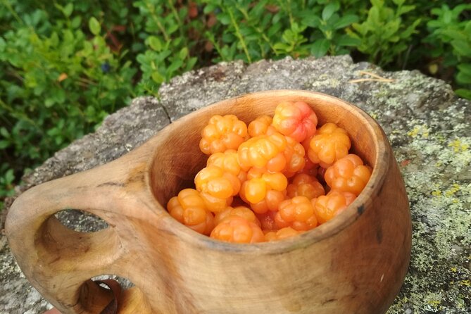 Lapland Berry Day Experience - Final Thoughts: Is It Worth It?