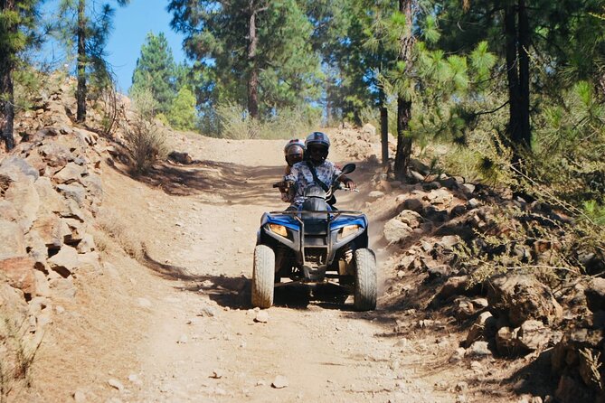 Masca Valley Guided Buggy Tour. Small Group. - The Experience from Travelers’ Perspectives