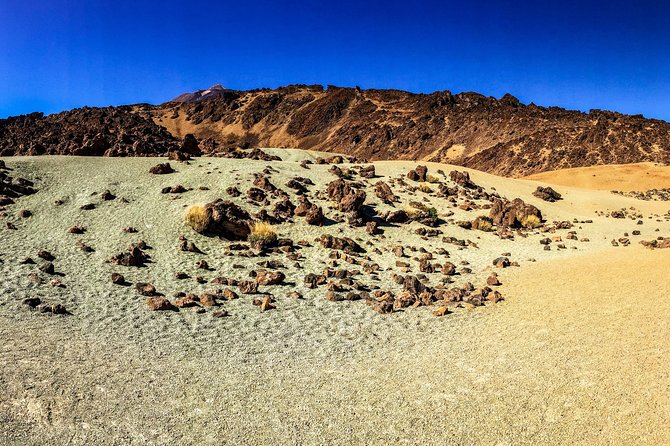 Mount Teide and Tenerife North with 5 Course Tasting Menu Private Tour - An In-Depth Look at the Tour Experience