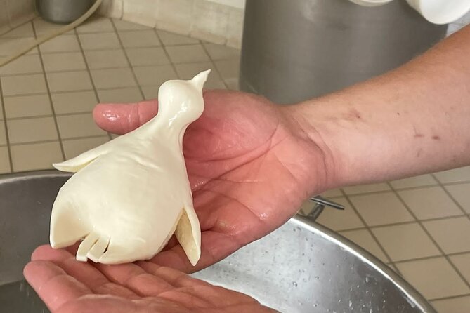 Mozzarella Experience with Tasting in Vico Equense - A Closer Look at the Tour Experience