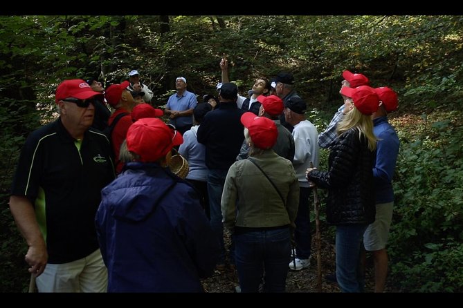 Mushroom or Truffle Hunting - A Closer Look at the Experience